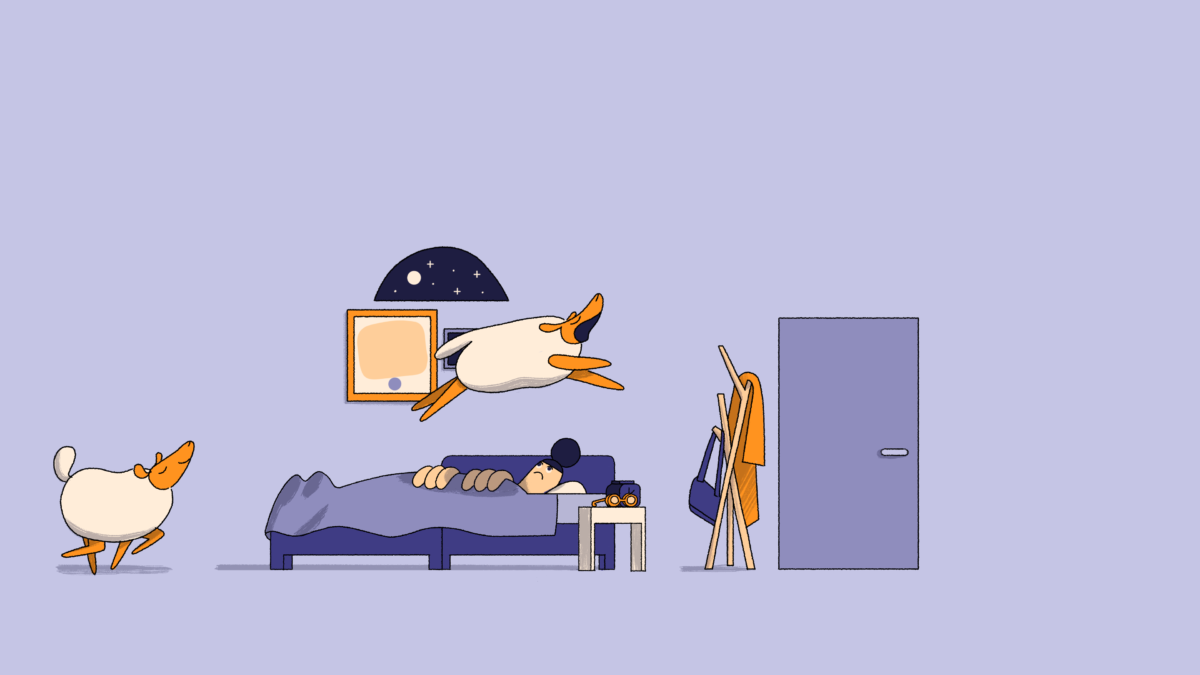 Offline CBD - Niceshit